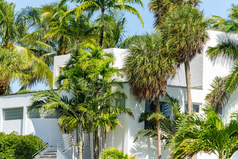 Luxury House with Palm Trees Stock Photo - Image of colorful, luxury ...