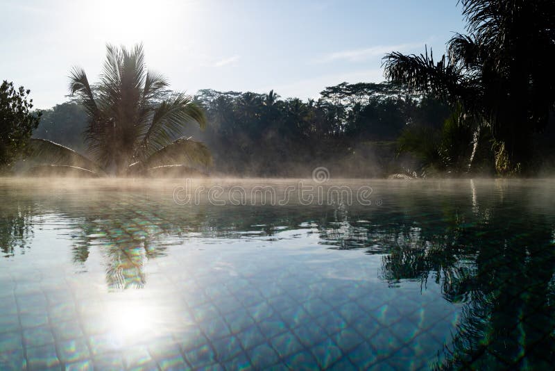 A Luxury Infinity Pool in a Tropical Resort at Night Stock Image ...