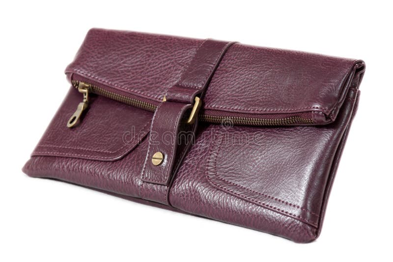 Luxury Ladies Purse / Wallet Stock Photo - Image of expensive, carry ...