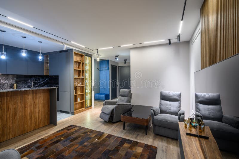 Luxury Living Room and Kitchen in Studio Apartment Stock Image - Image ...