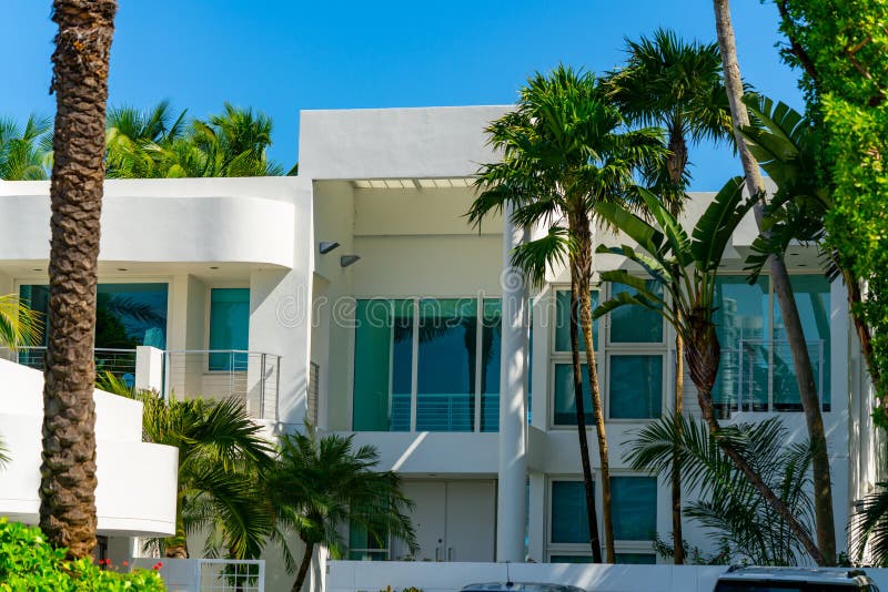 New Modern Home With Royal Palm Trees In Front Yard Stock Image - Image ...