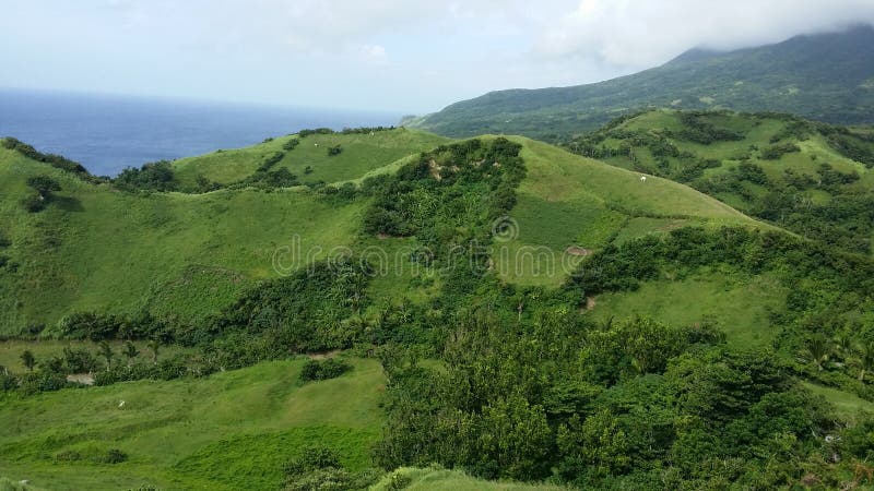 Luxury of nature stock photo. Image of outdoor, plants - 96667642