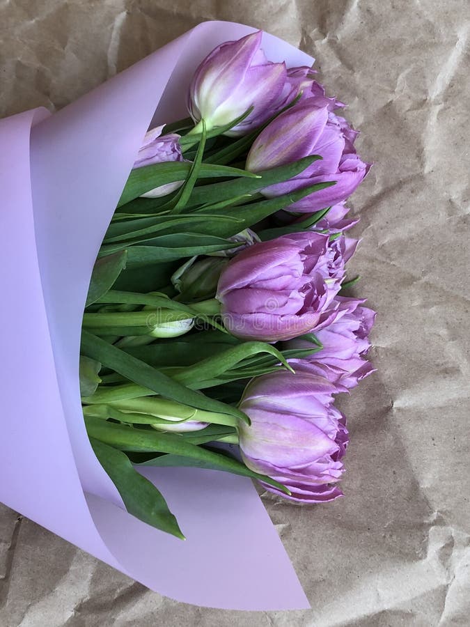 1,688 Tulips Wrapped Paper Stock Photos - Free & Royalty-Free Stock ...