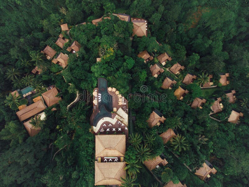 Luxury Resort in Tropical Rain Forest Stock Photo - Image of pool ...
