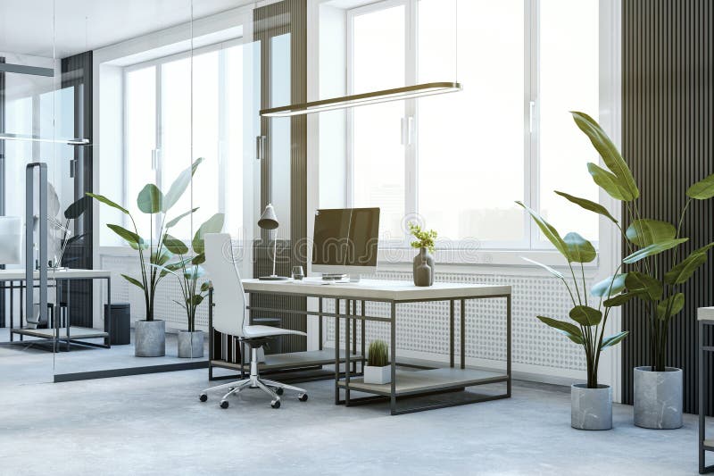 Luxury Spacious Coworking Office Room Interior with Various Objects ...