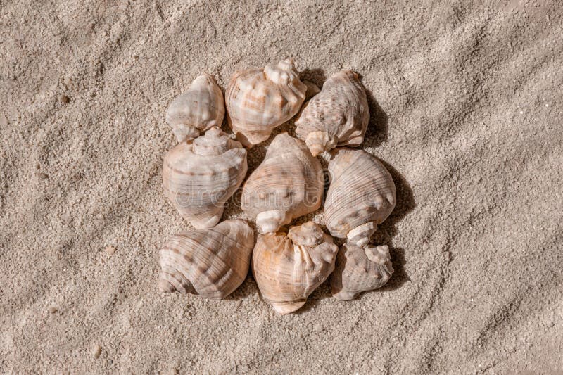 Minimal Square Aesthetic Neutral Summer Vacation Concept with Sea ...