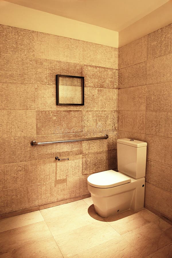 Luxury Bathroom With Toilet