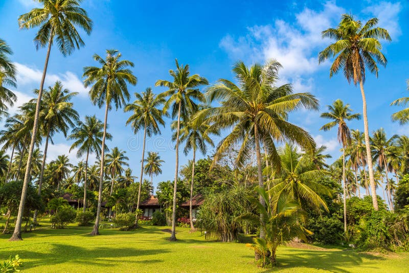 Luxury tropical resort stock image. Image of phuket - 268579617