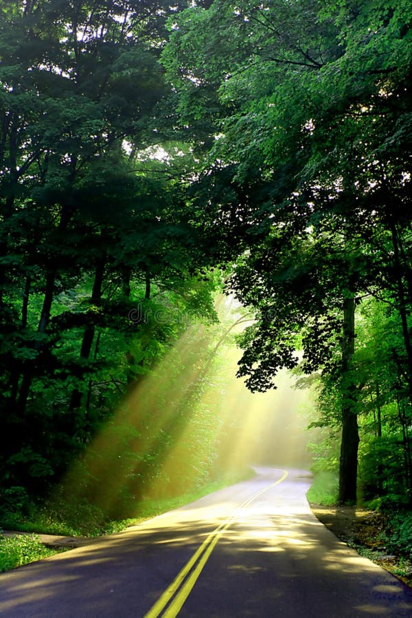 Luz Del Sol En La Carretera Nacional Foto de archivo - Imagen de alto ...