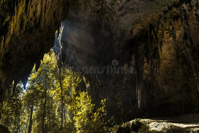 Luz Do Sol Dentro Da Caverna Na Selva Da Floresta Imagem de Stock ...