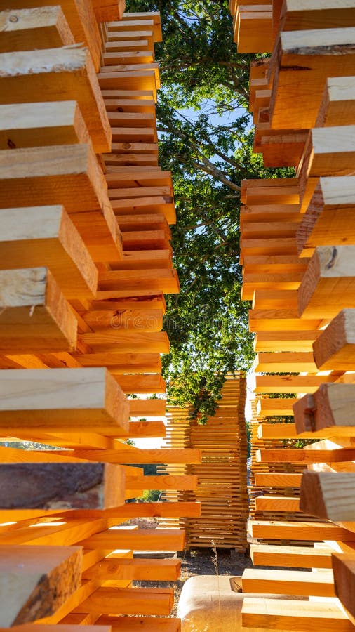 Luz between the mandera stock image. Image of lumber - 286809611