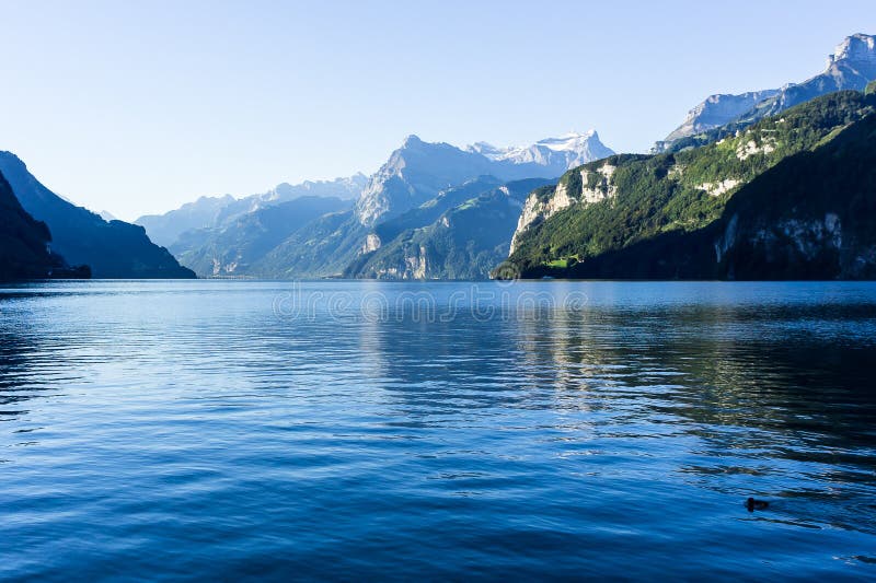 Luzerner See - die Schweiz stockfoto. Bild von nave, bewaldet - 40051850