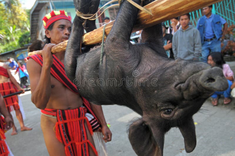 Luzon Island editorial stock image. Image of ritual, dress - 22819719
