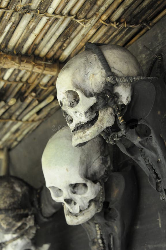 Luzon Island stock photo. Image of skull, luzon, symbol - 22835016