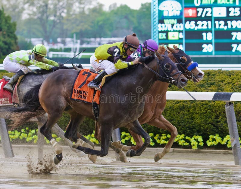 Luzzi and Dylan Battle editorial image. Image of colt - 147396345