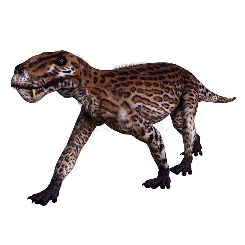 Lycaenops Isolated Dinosaur 3d Render Stock Image - Illustration of ...