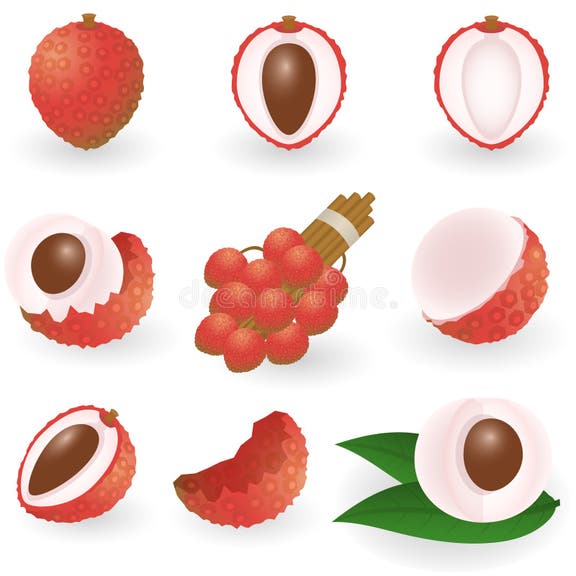 Lychee Design Stock Illustrations – 4,350 Lychee Design Stock ...