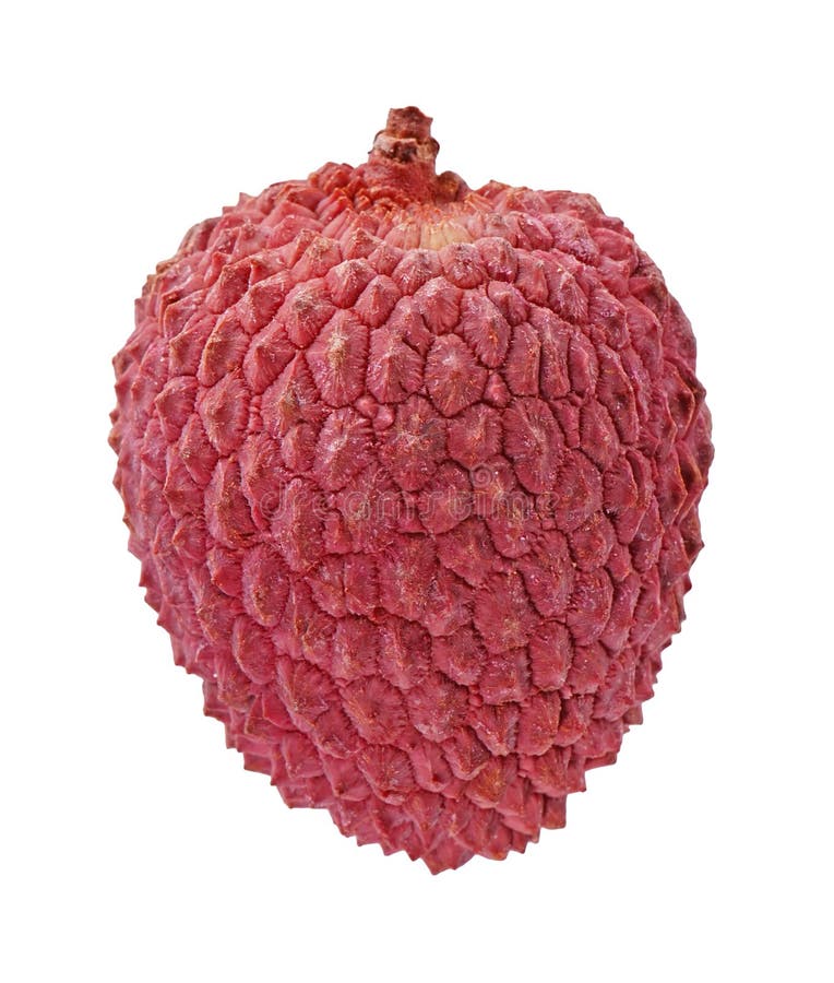 Lychee stock image. Image of healthy, ripe, open, shell - 4672521
