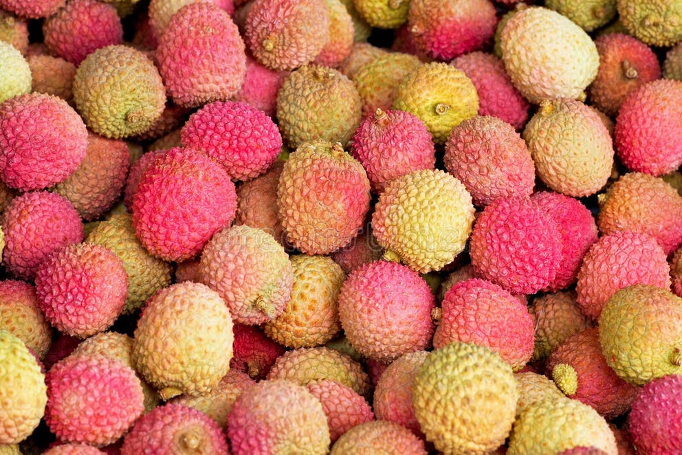 Lychee stock photo. Image of edible, vegetable, ingredient - 6177394