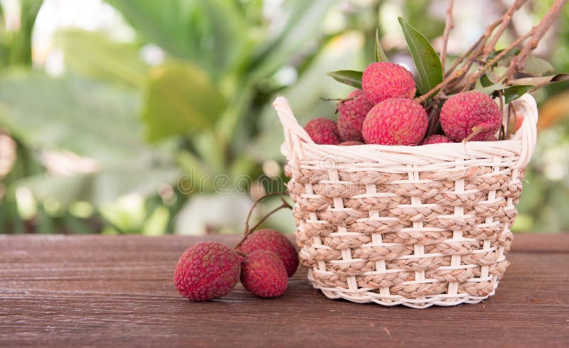 Lychee stock photo. Image of chinese, berry, fruit, exotic - 47826044