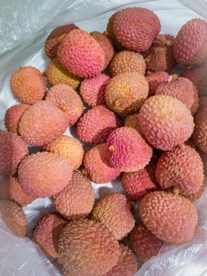 Lychee Fruit. Chinese Plum Grows on Tropical Trees Stock Image - Image ...