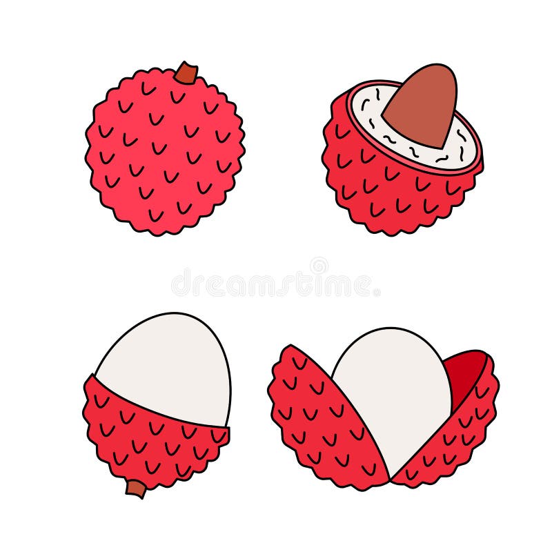 Lychee Outline Vector Stock Illustrations – 478 Lychee Outline Vector ...