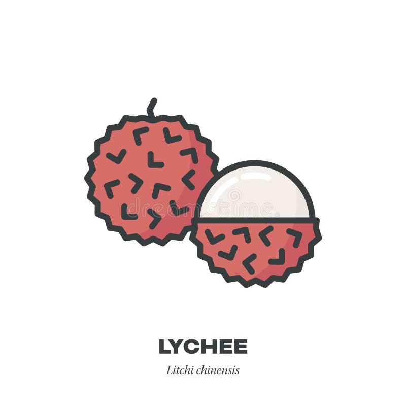 Lychee Filled-outline Flat Icon with Leaves Stock Vector - Illustration ...