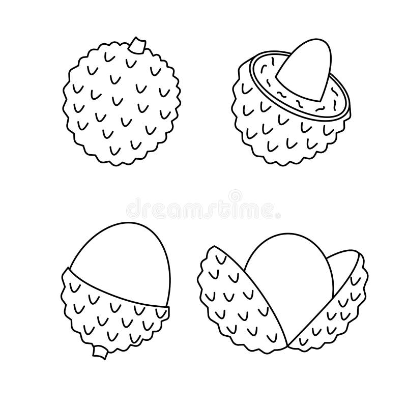 Lychee Outline Vector Stock Illustrations – 478 Lychee Outline Vector ...