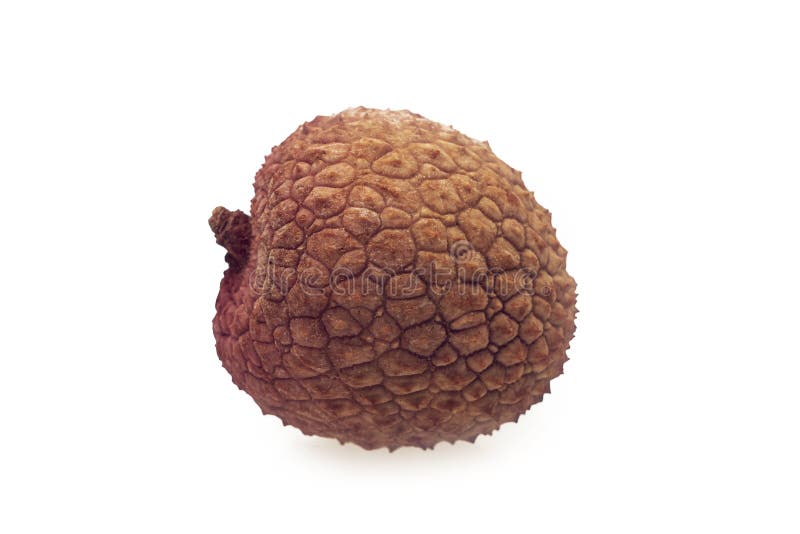 Single lychee stock image. Image of asian, juicy, white - 4569621
