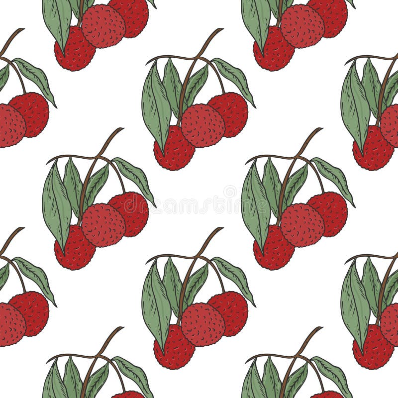Lychee Fruit on Twig Seamless Pattern Stock Vector - Illustration of ...