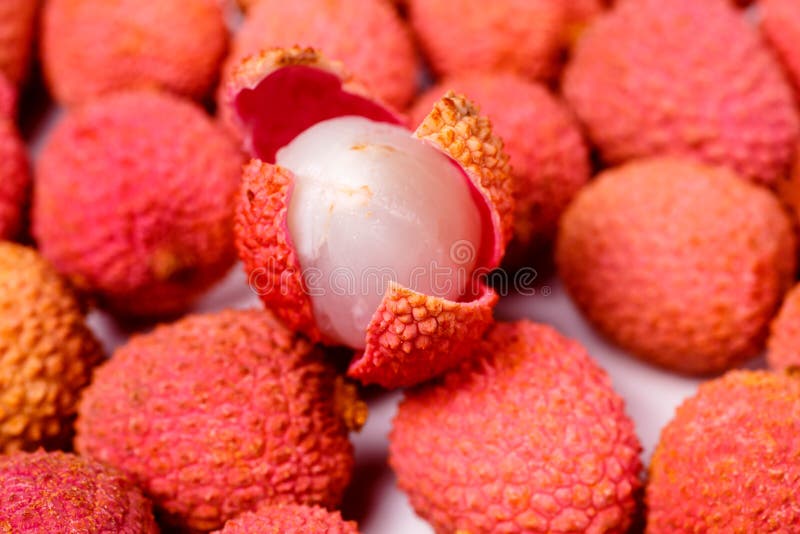 Plum Slide Stock Photos - Free & Royalty-Free Stock Photos from Dreamstime