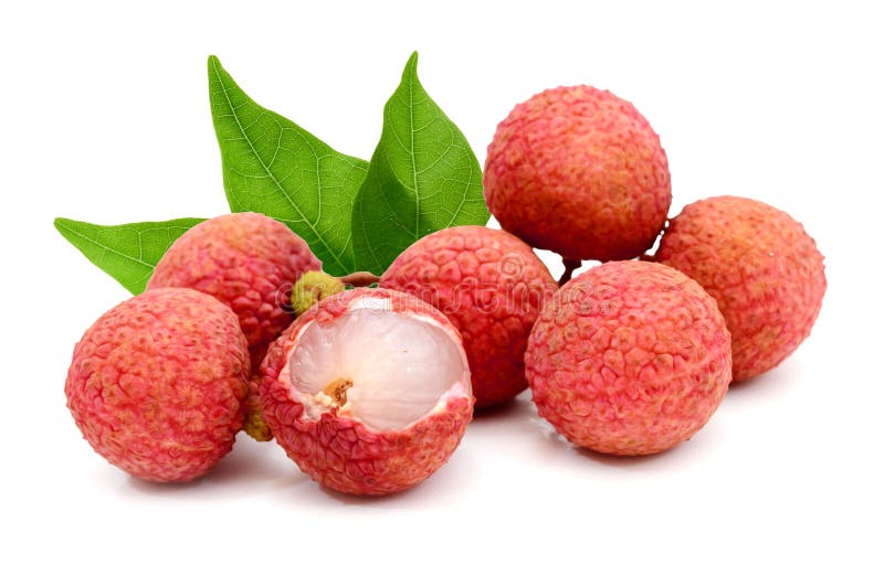 Lieche Stock Photos - Free & Royalty-Free Stock Photos from Dreamstime