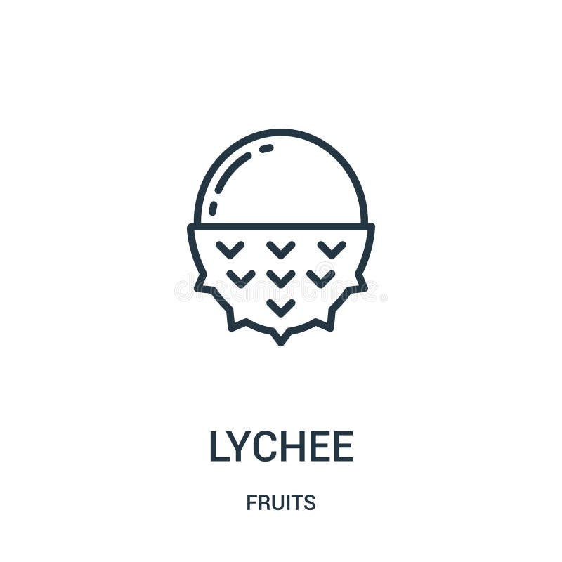 Lychee Icon Vector from Fruits Collection. Thin Line Lychee Outline ...