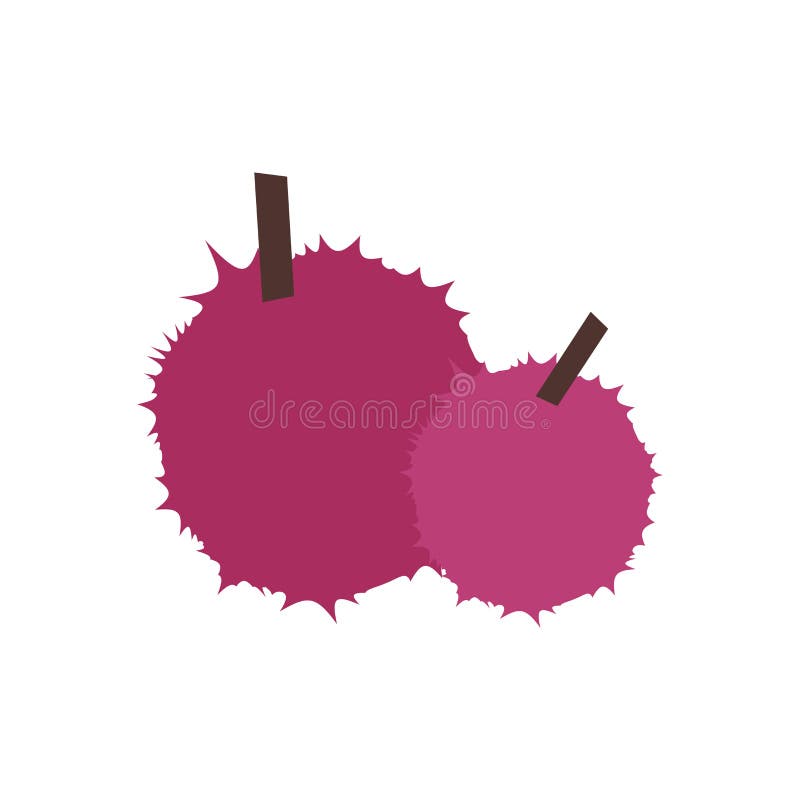 Lychee Icon Vector Isolated on White Background, Lychee Sign Stock ...