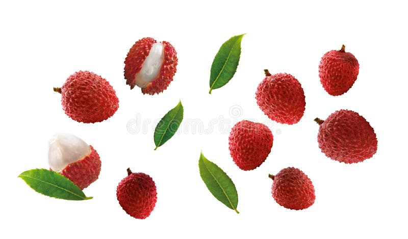 Isolated lychee with pit stock image. Image of healthy - 17782175