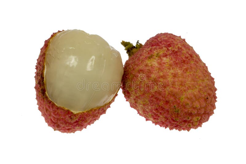 Lychee fruit stock photo. Image of circle, delicious - 11963754