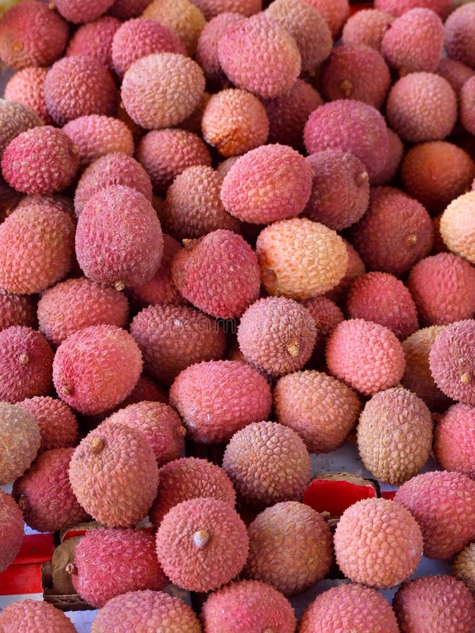Litchi stock photo. Image of sweet, lichee, leechee, asian - 11781856