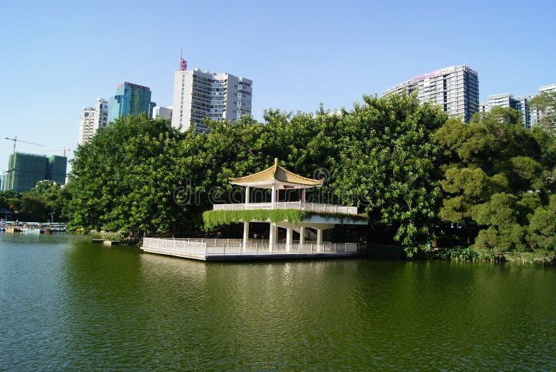 Lychee park view editorial stock image. Image of china - 20190504