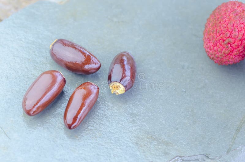 Lychee Pits Stock Photos - Free & Royalty-Free Stock Photos from Dreamstime