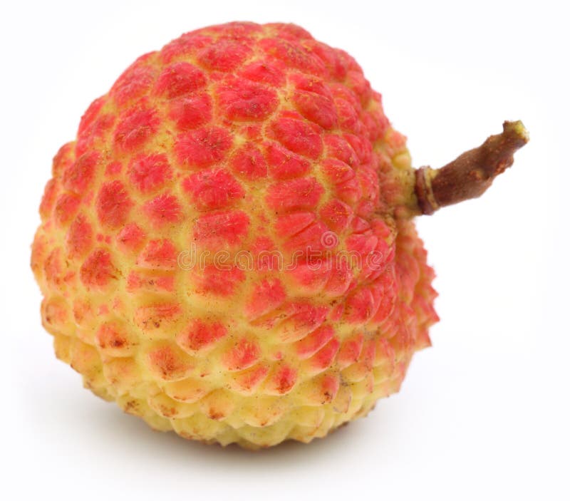 Peeled lychee stock image. Image of litchi, tropical - 10472189