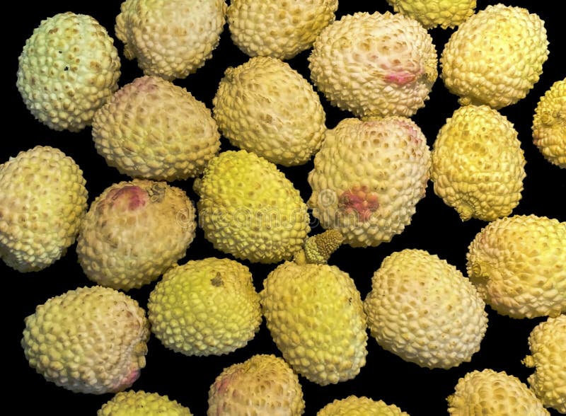 Lychee- Small Rounded Fruit with Sweet White Scented Flesh, a Large ...