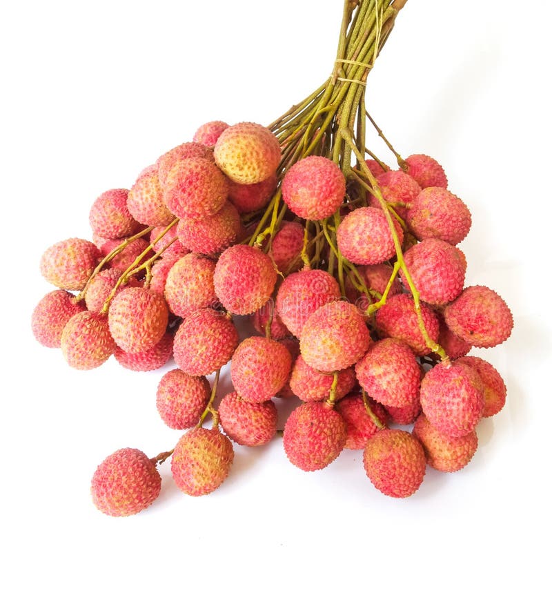 Lychee Thailand stock image. Image of nutrition, lichee - 41751169