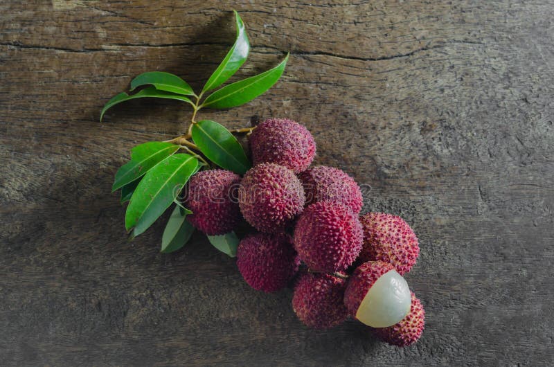 Lychee leaves stock photo. Image of organic, pattern - 44918716