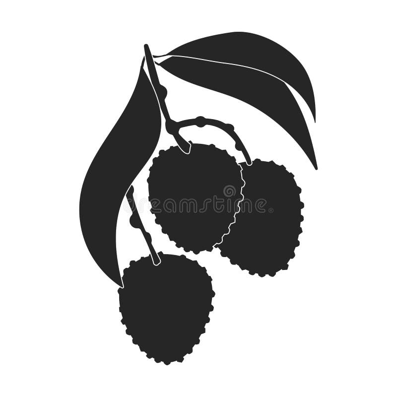 Litchi Fruit Black Background Stock Illustrations – 167 Litchi Fruit ...