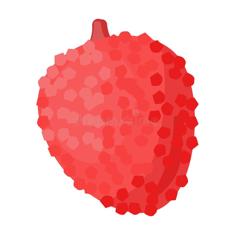 Icono De Contorno Vectorial De Lichi. Vector Ilustración Litchi Sobre ...