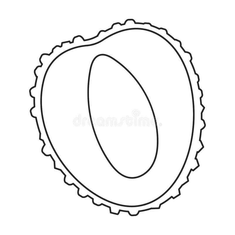 Lychee Outline Vector Stock Illustrations – 507 Lychee Outline Vector ...