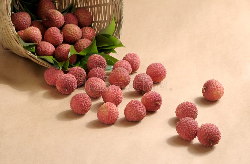 Lychee flower stock image. Image of leaves, litchee, garden - 40012833