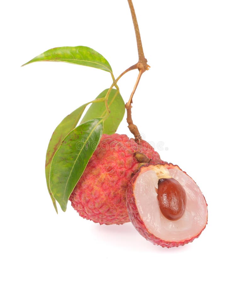 Lychees stock image. Image of lechwe, organic, lichee - 43579841