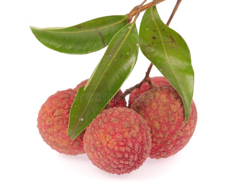 Lychees stock photo. Image of juicy, litchee, lechwe - 43103832