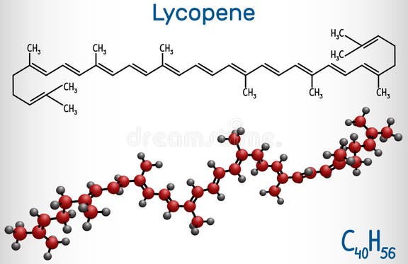 Lycopene Molecule. Structural Chemical Formula and Molecule Model Stock ...